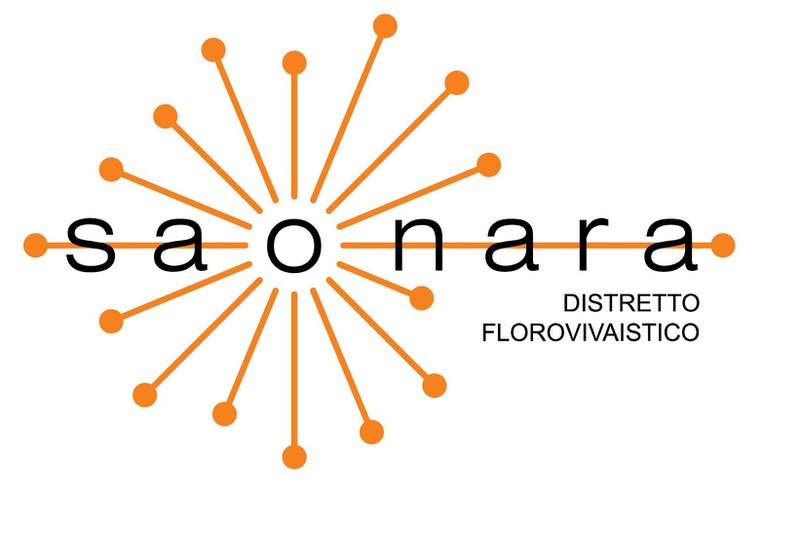 Un nuovo logo per promuovere il Distretto florovivaistico di Saonara ...